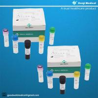China Monkeypox Virus(MPV) Nucleic Acid Detection Kit Fast Test Home Kit Real Time PCR Kit for sale