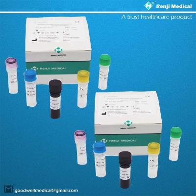 China Monkeypox Virus(MPV) Nucleic Acid Detection Kit Fast Test Home Kit Real Time PCR Kit for sale