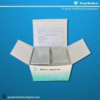 China Renji Magnetic Bead Dna Extraction Kit for Viral nucleic acids for sale