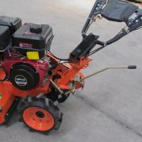 China Industrial Walk Behind Lawn Mowers Residential 3.5km H for sale