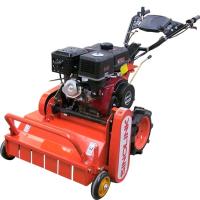 China Gas Powered Walk Behind Lawn Mower With Electric Start Hand Push for sale