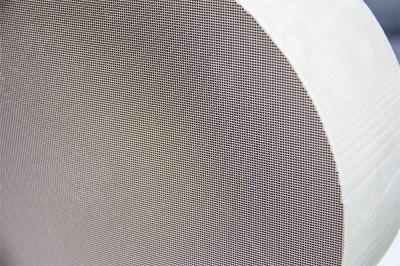 China EURO VI Generator Catalytic Converter Selective Catalytic Reduction Filter SCRF for sale