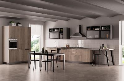 China Custom Modern Wood Veneer Kitchen Cabinet Set - 20-40 Day Installation Timeline with Custom Design Solutions for sale
