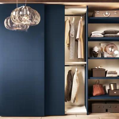 China Blue Luxury Custom Wooden Bedroom Walking Closet Wardrobe E1 Standard 20-40 Days Lead Time for sale