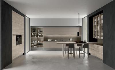 China Modular Wood and Aluminum Kitchen Cabinet Designs with 20-40 Day Custom Production and Space Optimization Features for sale