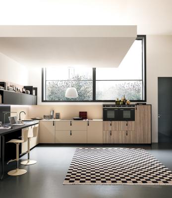 China Custom High Gloss Lacquer Kitchen Cabinet with Appliances 18mm Plywood for Household for sale
