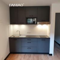 China Custom Compact Mini Kitchen Cabinet 18mm Plywood with Stainless Steel Countertop for Apartments and Hotels for sale