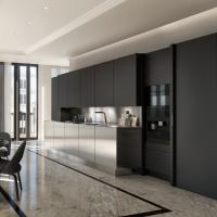 China Modular Stainless Steel Kitchen Cabinets with 18mm Panels and Lacquer Finishes for Residential & Commercial Use for sale