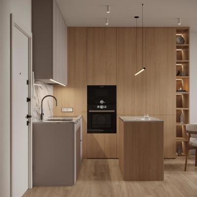 China Kitchen Units Hotel Small Kitchen Apartment Kitchenette With Led Lighting for sale