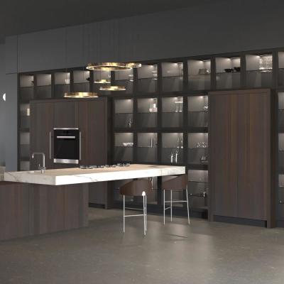 China Luxury Wooden Wall Hanging Modular Kitchen Cabinet with Smart Custom Design 18mm Plywood for sale