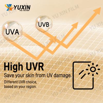 China TPU Self Healing Color Change Paint Protection Film 8mil Hydrophobic Car PPF for sale
