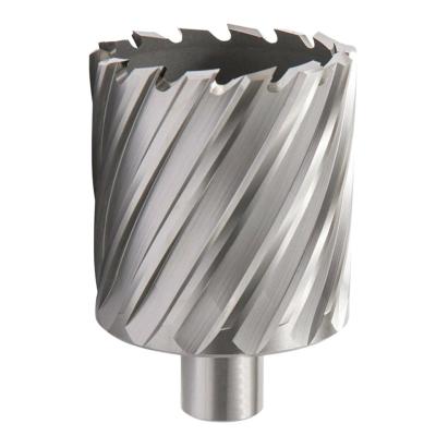 China Universal Shank HSS Annular Cutter | Compatible with Nitto, Hougen, Euroboor for sale
