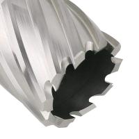 China 12 - 100mm  Hss Annular Cutter Tin Coating Steel Structures Industrial Core Cutters for sale