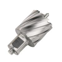 China Magnetic Annular Cutter Hss M12 - M22 Mag Drill Bit Set for sale