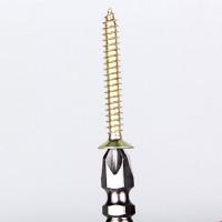 China Professional 2-Inch ACR Phillips #2 Bit | Damaged Screw Recovery Tool (S2 Steel) for sale