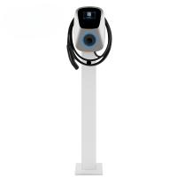 China 7kW 9.6kW 11kW 22kW AC EV Charger Wallbox Floor Mounted with 4.3-inch LCD Display and OCPP 1.6 Support for sale