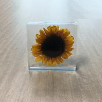 China Low MOQ Custom Shapes Sizes paper weight Crafts For Decoration custom resin weightpaper scale flower inside acrylic paper weight for sale