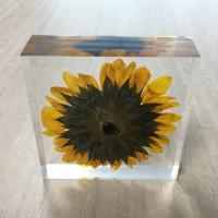 China Low MOQ Custom Shapes Sizes paper weight Crafts For Decoration custom resin weightpaper scale flower inside acrylic paper weight for sale