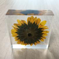 China Low MOQ Custom Shapes Sizes paper weight Crafts For Decoration custom resin weightpaper scale flower inside acrylic paper weight for sale