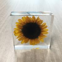 China Cubic acrylic resin paper weight with insect and flowers inside acrylic paperweight for sale