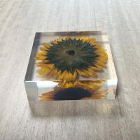 China Cubic acrylic resin paper weight with insect and flowers inside acrylic paperweight for sale