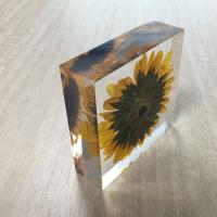 China Cubic acrylic resin paper weight with insect and flowers inside acrylic paperweight for sale