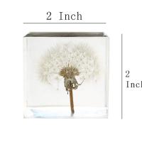China Cubic acrylic resin paper weight with insect and flowers inside acrylic paperweight for sale