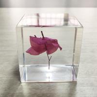 China transparent cubic shaped resin paper weight with real dry flowers for home and office decor for sale