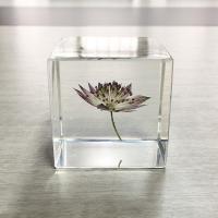 China transparent cubic shaped resin paper weight with real dry flowers for home and office decor for sale