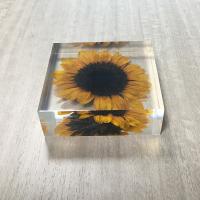 China transparent cubic shaped resin paper weight with real dry flowers for home and office decor for sale
