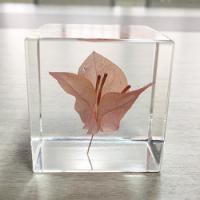 China transparent cubic shaped resin paper weight with real dry flowers for home and office decor for sale