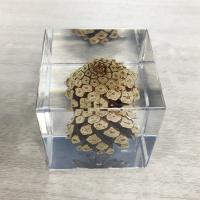 China Factory Cheap Paperweights Custom Artwork Craft Clear Acrylic Block Crafts Acrylic Resin Crystal Paper Weight for sale