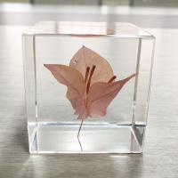China Acrylic paper weight gift stone paper weight custom resin paper weight for sale