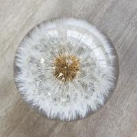 China Custom clear epoxy real flower specimen acrylic dandelion paper weight for sale