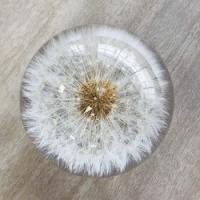 China Custom clear epoxy real flower specimen acrylic dandelion paper weight for sale
