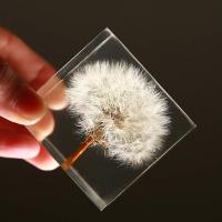 China Custom cheap paper weight resin paperweight block Resin cubic paper weight with Dandelion artificial flower inside paperweight for sale