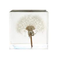 China Custom cheap paper weight resin paperweight block Resin cubic paper weight with Dandelion artificial flower inside paperweight for sale
