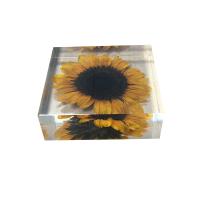 China Custom cheap paper weight resin paperweight block Resin cubic paper weight with Dandelion artificial flower inside paperweight for sale