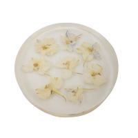 China Artificial Transparent Flower Paperweight With Fragments / Chippings for sale