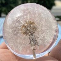 China Dandelion Flower Ball Paperweight, Real Dandelion in Resin for sale