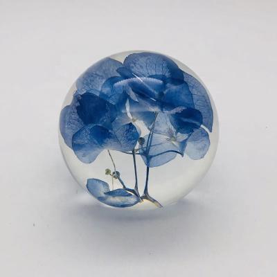 China Real Flower Paperweight Dia80mm With Hydrangea Inside for sale