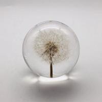 China Home Decoration Dandelion Paper Weight , Acrylic Flower Resin Paperweight for sale