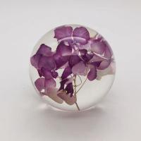 China Home Decoration Dandelion Paper Weight , Acrylic Flower Resin Paperweight for sale