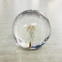 China Home Decoration Dandelion Paper Weight , Acrylic Flower Resin Paperweight for sale