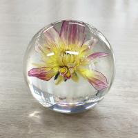 China Home decoration craft acrylic paperweight with real flower inside dry flowers for resin art crystal paperweights for sale