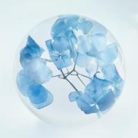 China Crafts Wholesale Home Decoration Paper Weight Clear Acrylic Ball Resin Paperweight Hydrangea Flower Inside Acrylic Resin Balls for sale