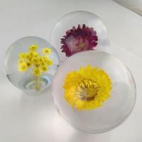 China Crafts Wholesale Home Decoration Paper Weight Clear Acrylic Ball Resin Paperweight Hydrangea Flower Inside Acrylic Resin Balls for sale