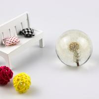 China Customized Crafts Resin Balls Paperweight 70mm 100mm Transparent Acrylic Ball Resin Flower Acrylic Ball Flower inside Acrylic for sale