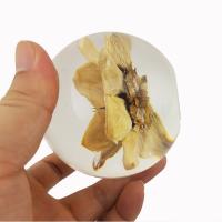 China Nature Clear Flower Paperweight , Resin Floral Paperweight Ball for sale