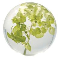 China Nature Clear Flower Paperweight , Resin Floral Paperweight Ball for sale